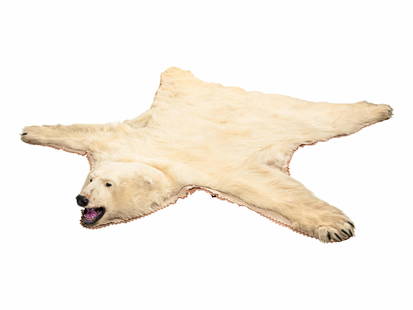 Bear Rug