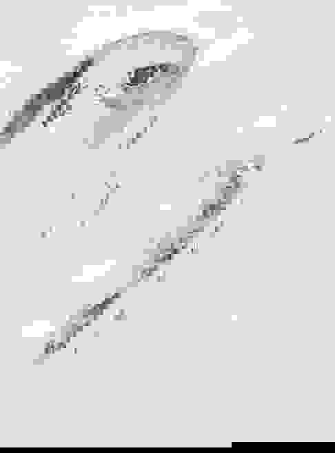 Brian Carney (american, 20th Century) Falcon Crest Auction