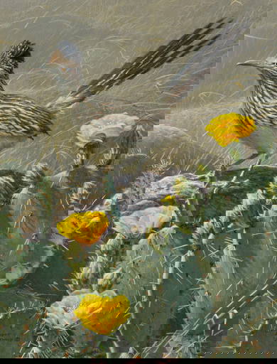 George Lockwood (american, B. 1961) Prickly Perch, 1995
