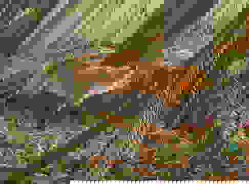 John Pitcher (american, B. 1949) Steady On The Nest, 1998 Auction