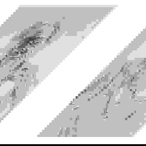 Alice Neel (american, 1900-1984) Benny Andrews, 1978 Auction