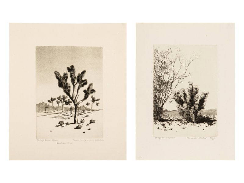 George Elbert Burr (american, 1859-1939) Two Works: Cucumber Cactus And ...