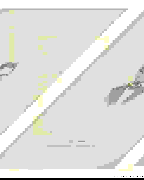 [lincoln, Abraham (1809-1865)]. Warren, Henry F., Photographer. The ...