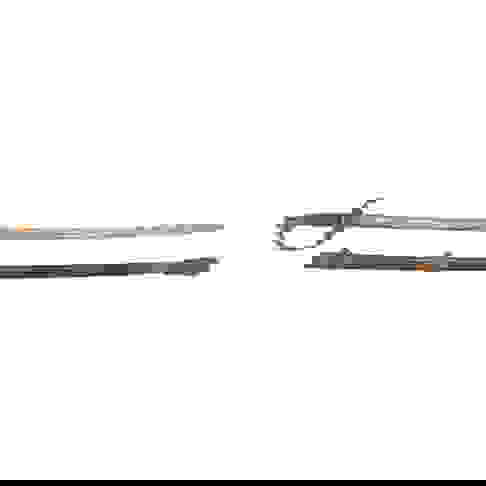 Roby Model 1850 Foot Officers Sword In 1850 Staff & Field Scabbard ...