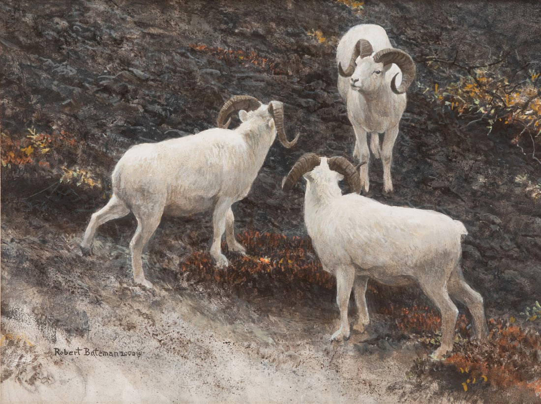 Robert Bateman (canadian, B. 1930) Alaska - Dall Sheep, 2000 Auction