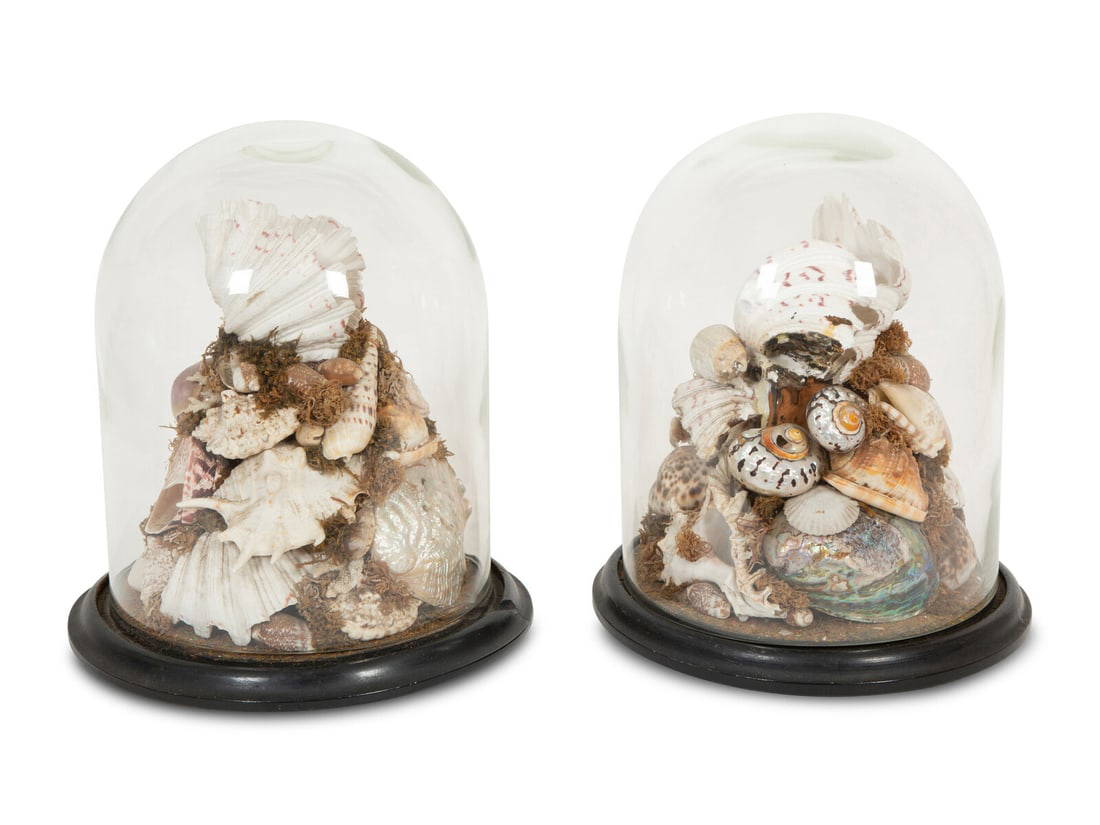 A Pair Of Shell Dioramas With Glass Dust Domes Auction
