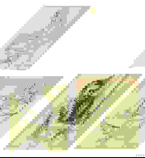 James Weeks (american 1922-1998) Girl Reading (portrait Of P. D. S ...