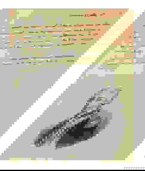 [english & Continental Manuscripts]. Lafayette, Marie Joseph Paul Yves Roch Gilbert Du Motier ...