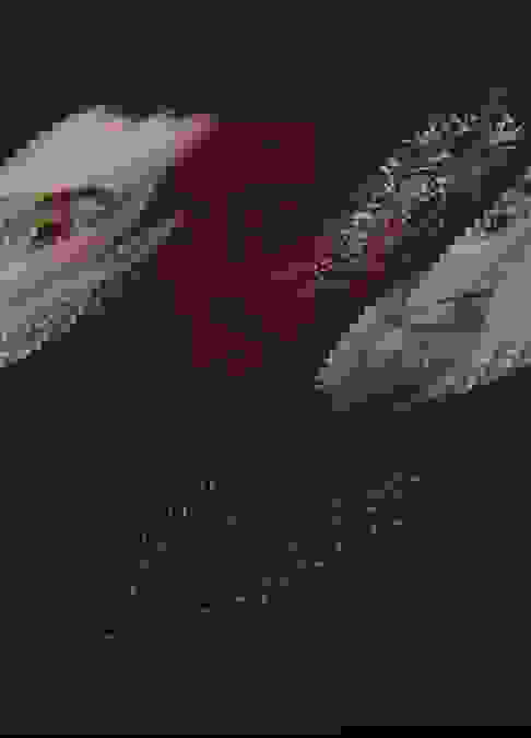 Follower Of George Gower (british, 1540-1596) Portrait Of An ...