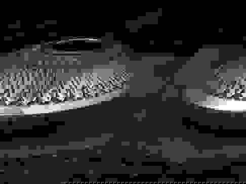 Daniel "sunshine" Reeves (diné, B. 1964) Sterling Silver Seed Jar Auction