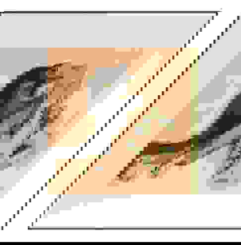 Käthe Kollwitz (german 1867-1945) Tod Und Frau, 1910 Auction