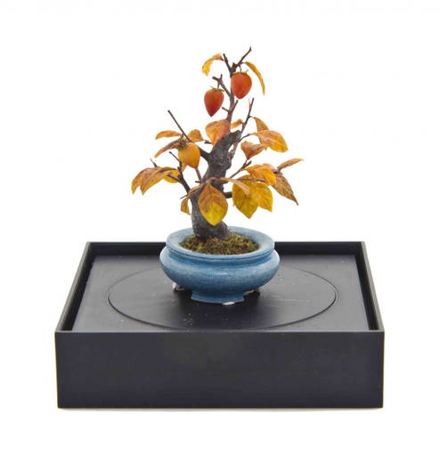 A Bonsai Model Of A Persimmon Tree, Hiroyuki And Kyoko