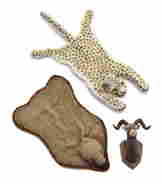 TAXIDERMY AFRICAN LEOPARD RUG MOUNT - Apr 21, 2013 | Burchard Galleries ...