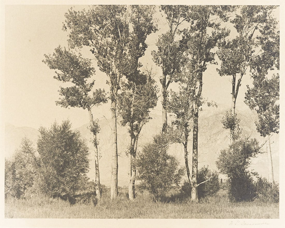 William E. Dassonville (1879 1957) Poplar Trees.