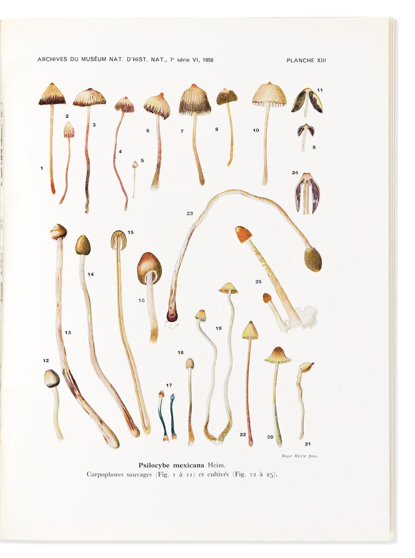(magic Mushrooms.) Roger Heim; And R. Gordon Wasson. Les Champignons ...