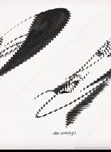 Miguel Covarrubias (1904 1957) Gloria Swanson.