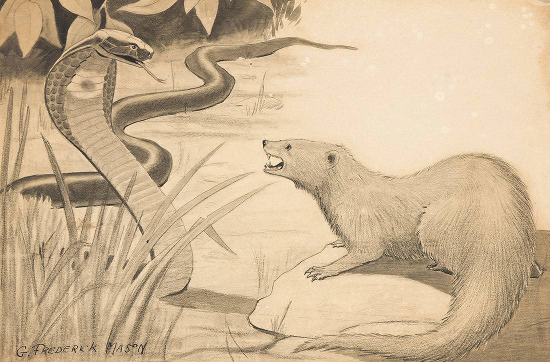 George Frederick Mason (1904 - 2000) Mongoose & Cobra. Auction