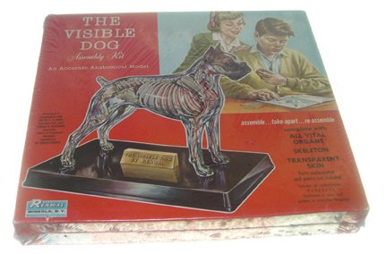 Renewal 1950's The Visible Dog Plastic Model Kit - Jun 28, 2008 ...