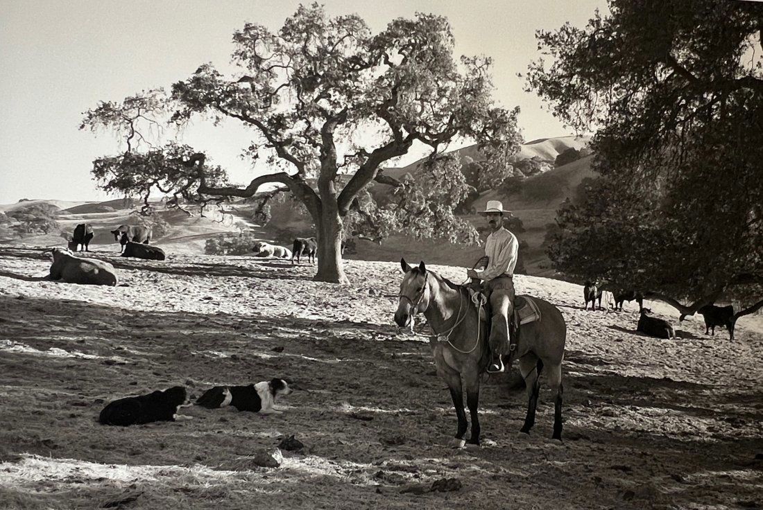 Jay Dusard Justin Fields, Fields Cattle Co., California, 2002 ...