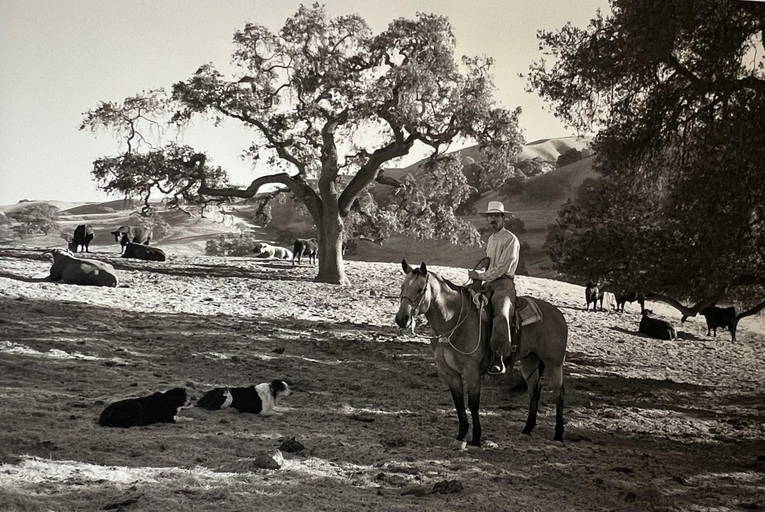 Jay Dusard Justin Fields, Fields Cattle Co., California, 2002 ...