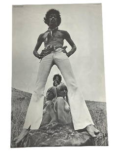 1969 Jimi Hendrix Experience Flocked Rand Poster