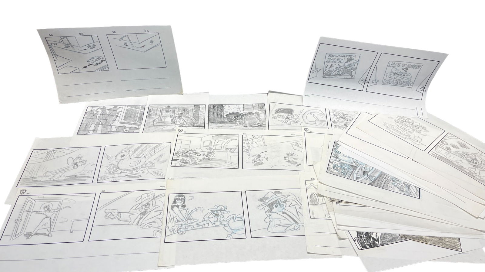 Original Warner Bros Animaniacs Storyboard Collection Lot