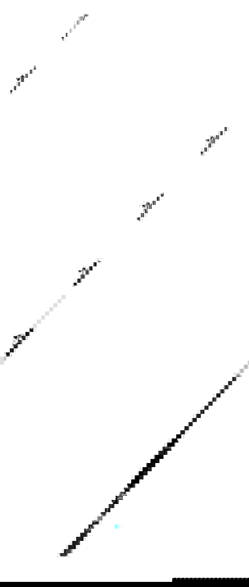 Custom Big Game Salt Water Fishing Rod Estate Of John Frankenheimer Auction