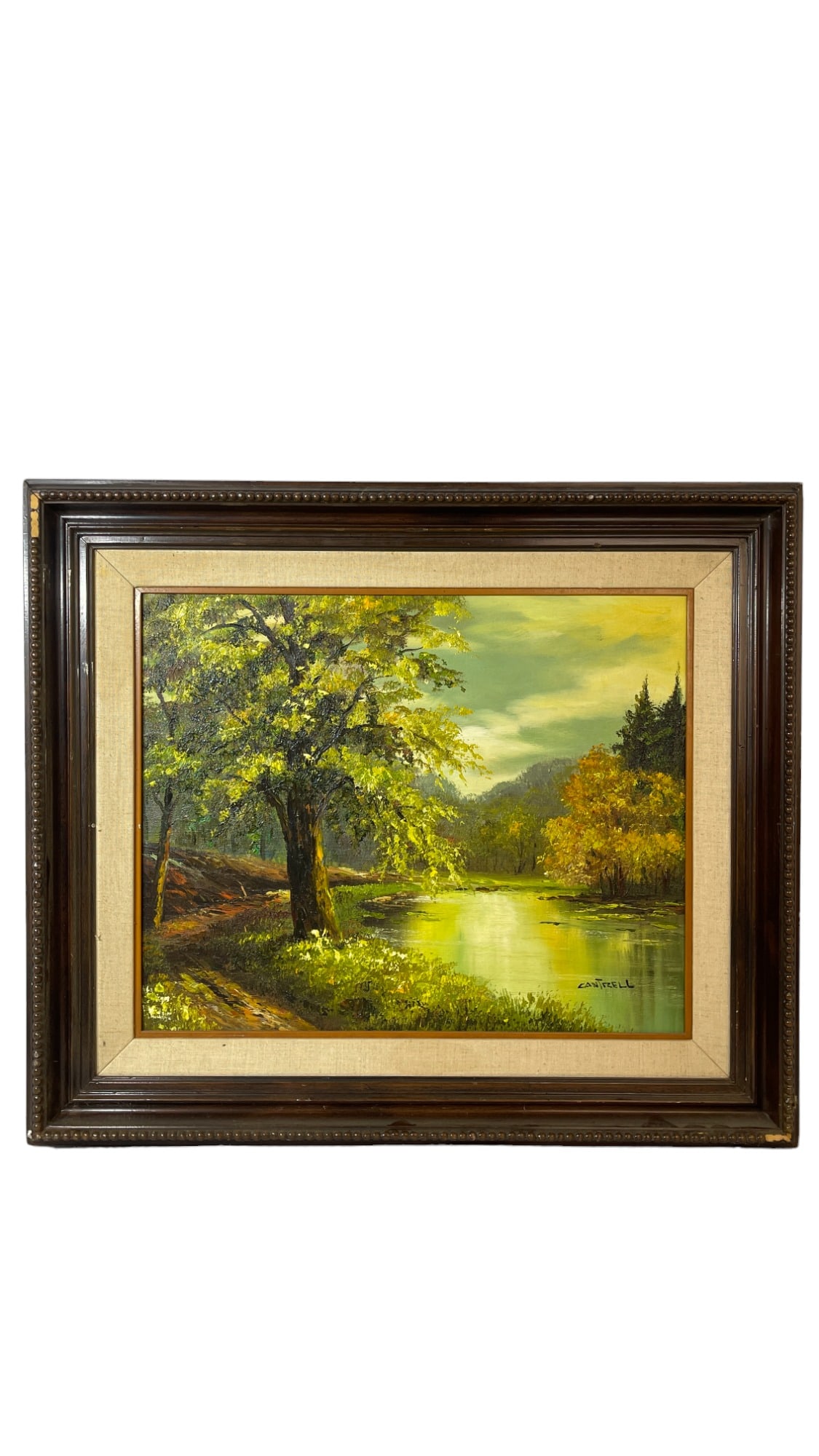 Phillip Cantrell Original Oil Painting Nature Landscape - Signed Auction