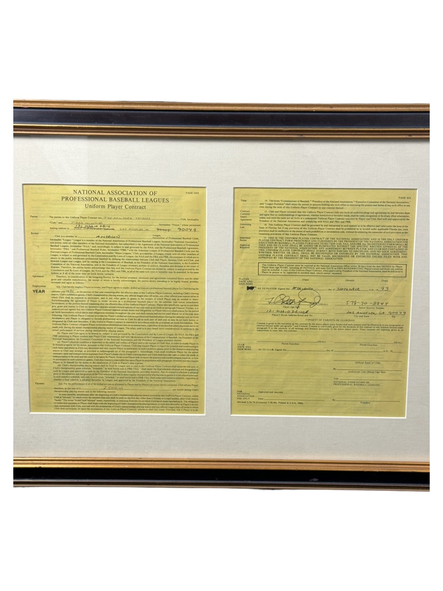 Thad Mumford National Association Of Baseball New York Yankees Uniform ...