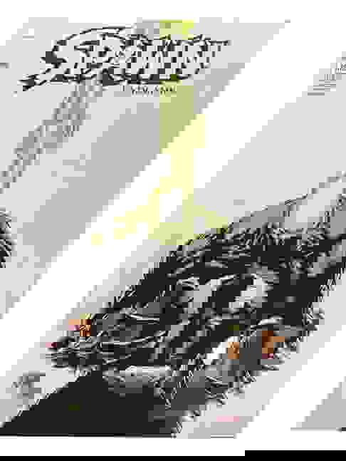 Spawn #185 Greg Capullo Variant Headless Spawn Comic Book Auction