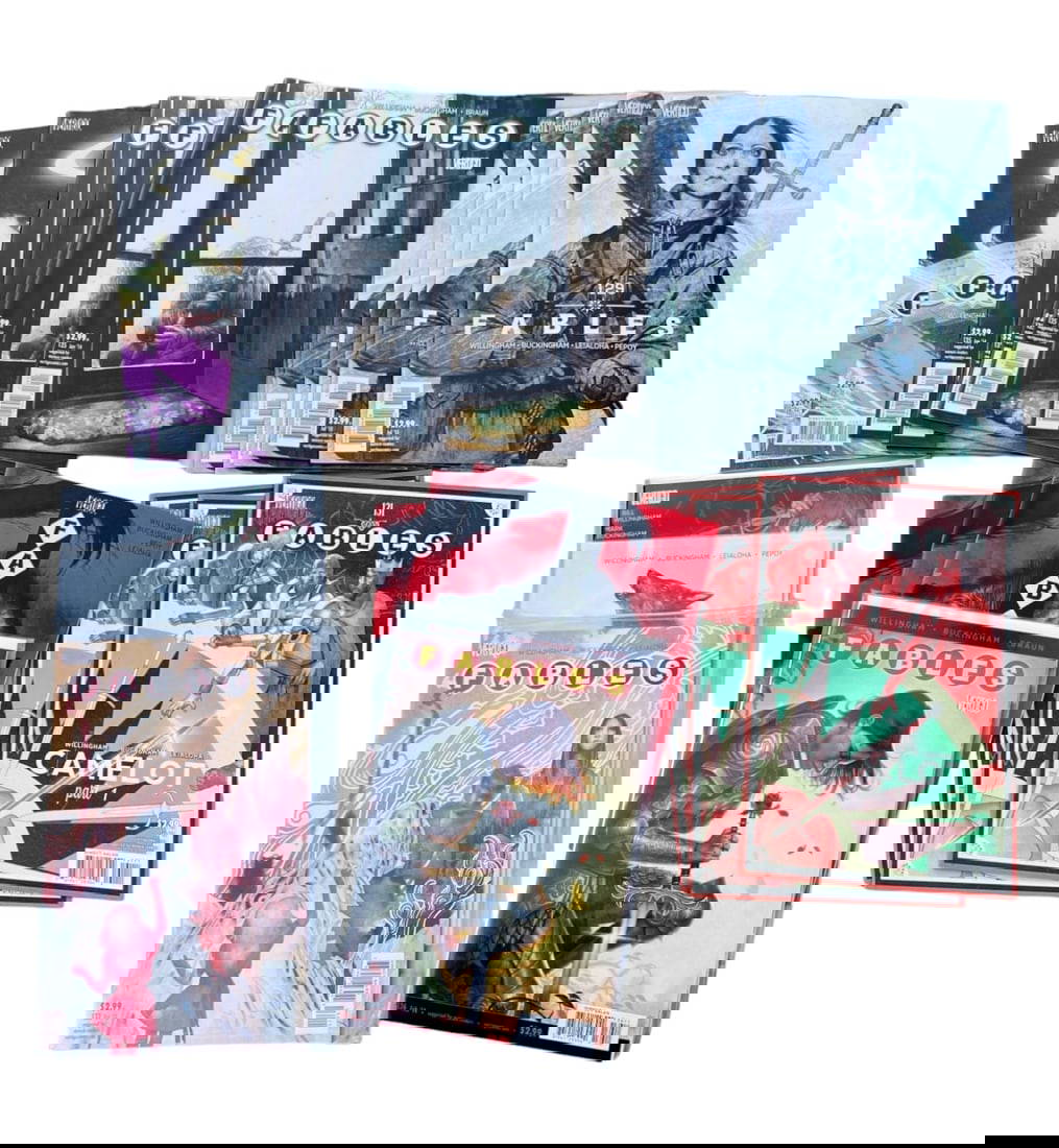 Comic Book Fables Collection Lot 25 Books Auction