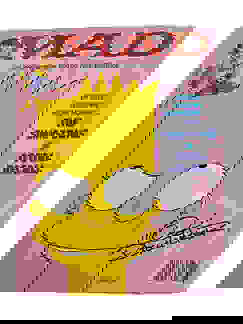 Mad Magazine #299 Bart Simpson Cover Signed By Mort Drucker Auction