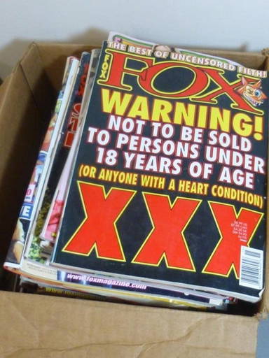 Large Lot Of Fox Men's Porn Magazines