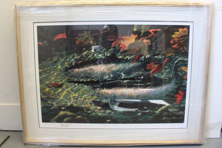 Edition Of 2/30 Cheakamus Coho By Canadian Artist Bruce Muir