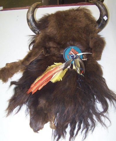 *buffalo Headdress