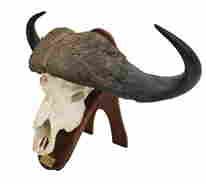 A mid-19 th century taxidermy Maori Kuri dog - Dec 11, 2013 | Art ...