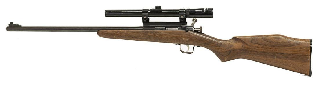 ROGUE RIFLE CO. 'CHIPMUNK' YOUTH .22 CAL. RIFLE