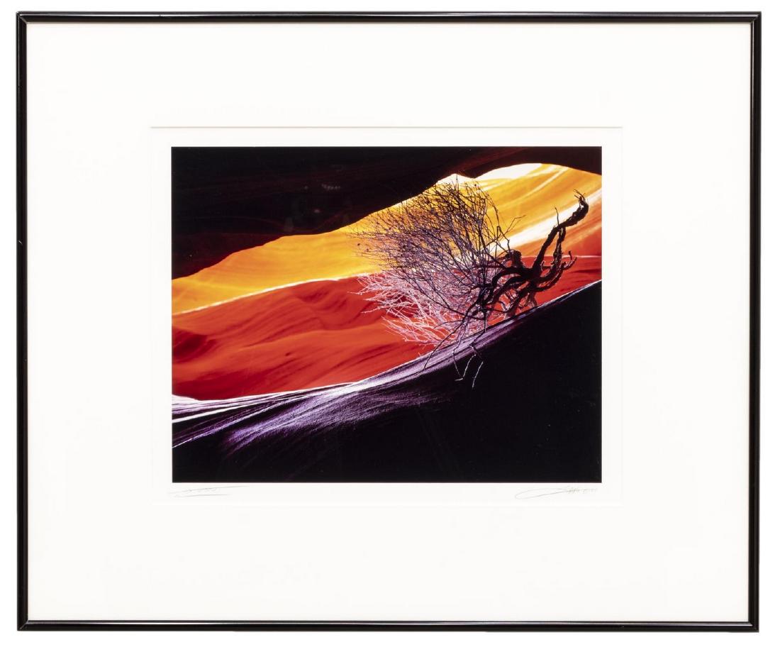 MICHAEL FATALI (B.1969) "BURNING BUSH" CIBACHROME - Apr 13, 2019 ...