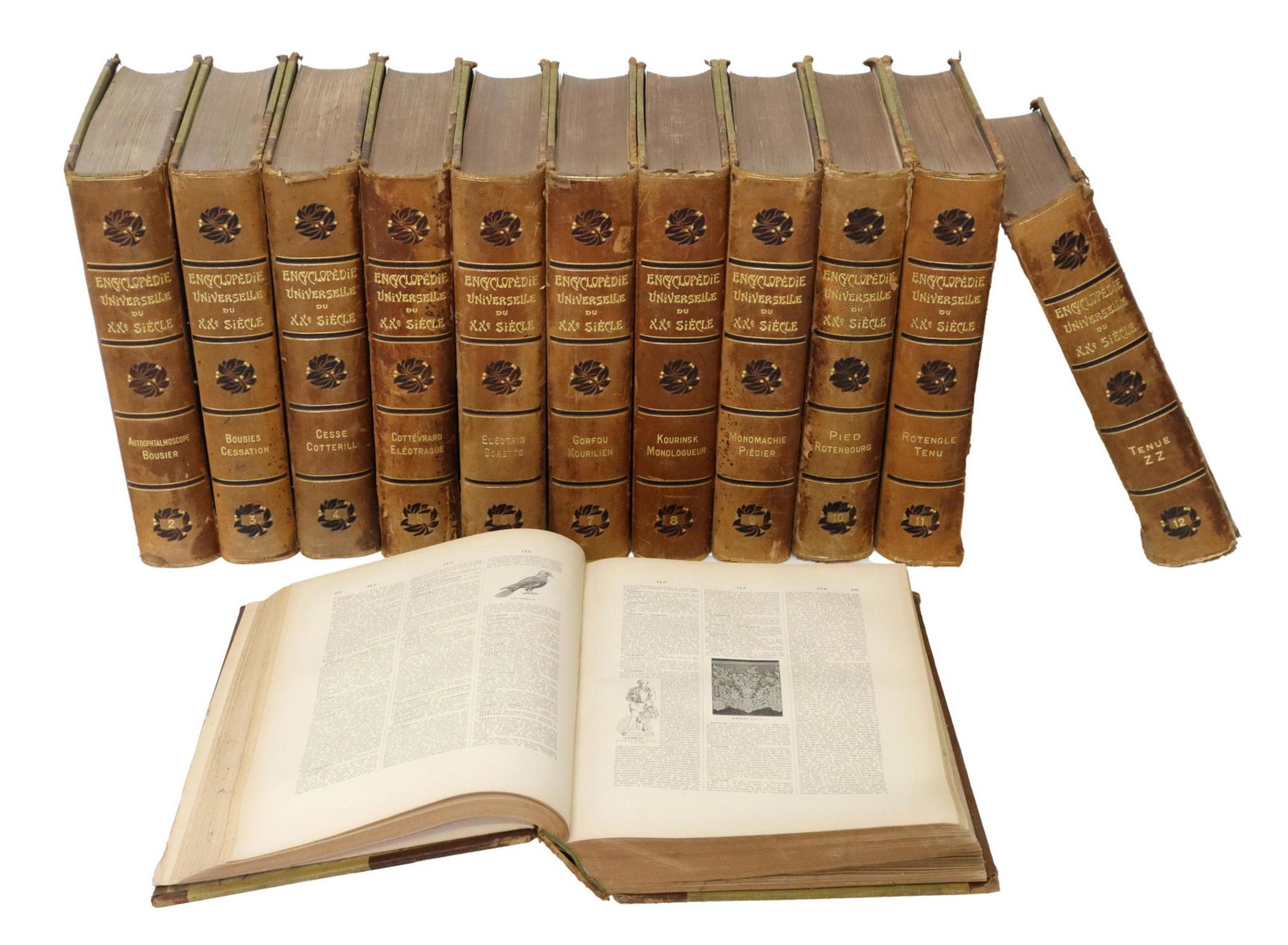 (12) French Encyclopedia Library Shelf Books