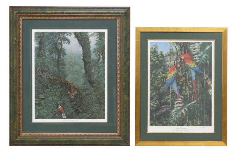 (2) F.p Bennett Jr. Framed Prints, Margay & Macaws