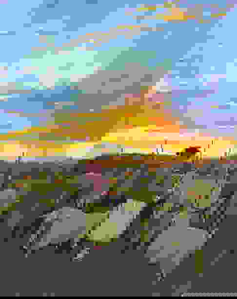 Redwing Nez (b.1960) Acrylic Painting Navajo Shepherdess Auction