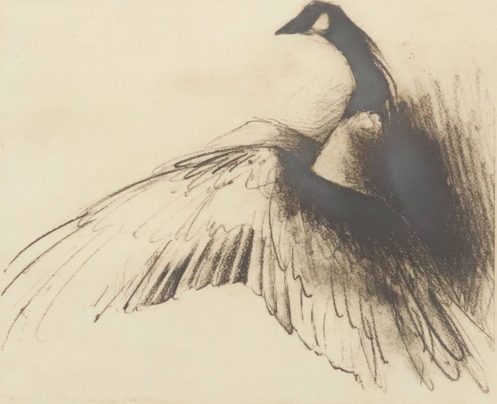 Sandy Scott (b.1943) Wildlife Etching Canada Goose Auction