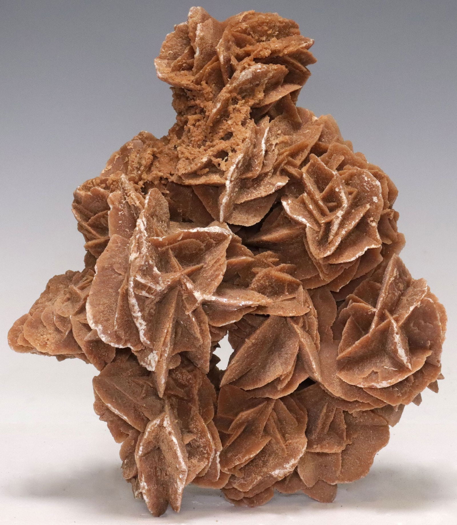 Geological Rust Selenite Cluster Specimen Auction