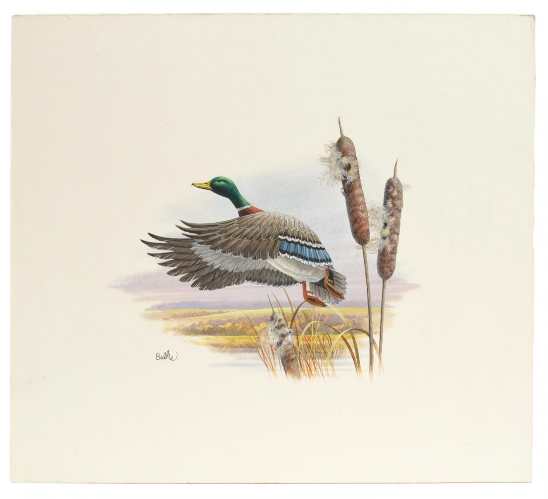 DON BALKE DUCK PAINTING, OKLAHOMA MALLARD
