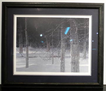 Robert Bateman's "midnight Black Wolf" Limited Edition