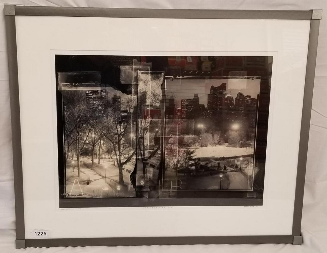 Vincent Serbin, "wollman Rink" Negative Photo