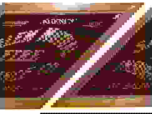 Salem Mutual Fire Insurance Co Reverse Glass Sign Auction