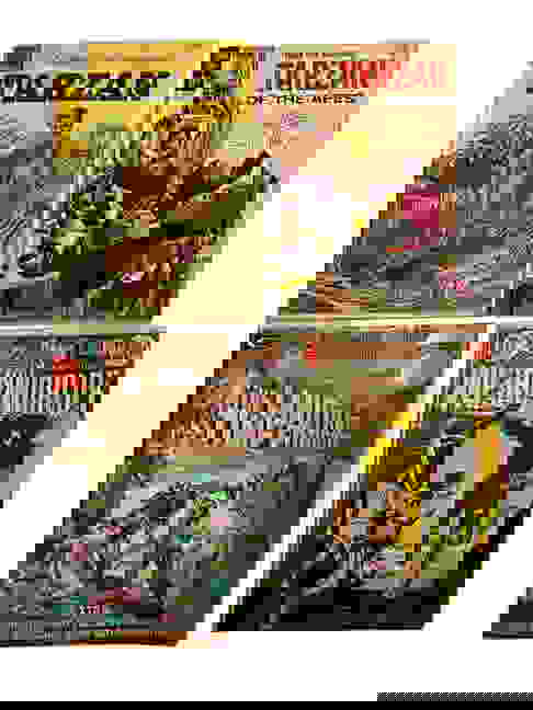 E.r. Burroughs Collection. Auction