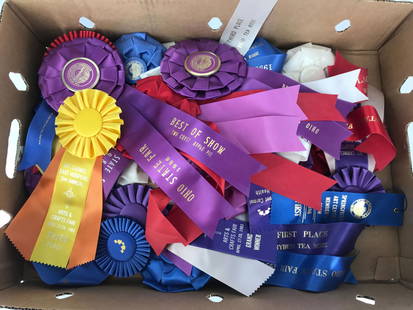 Ohio State Fair Poster