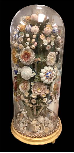 Rare Large Victorian Shell Art Centerpiece @ 26" Tall In Glass Dome ...
